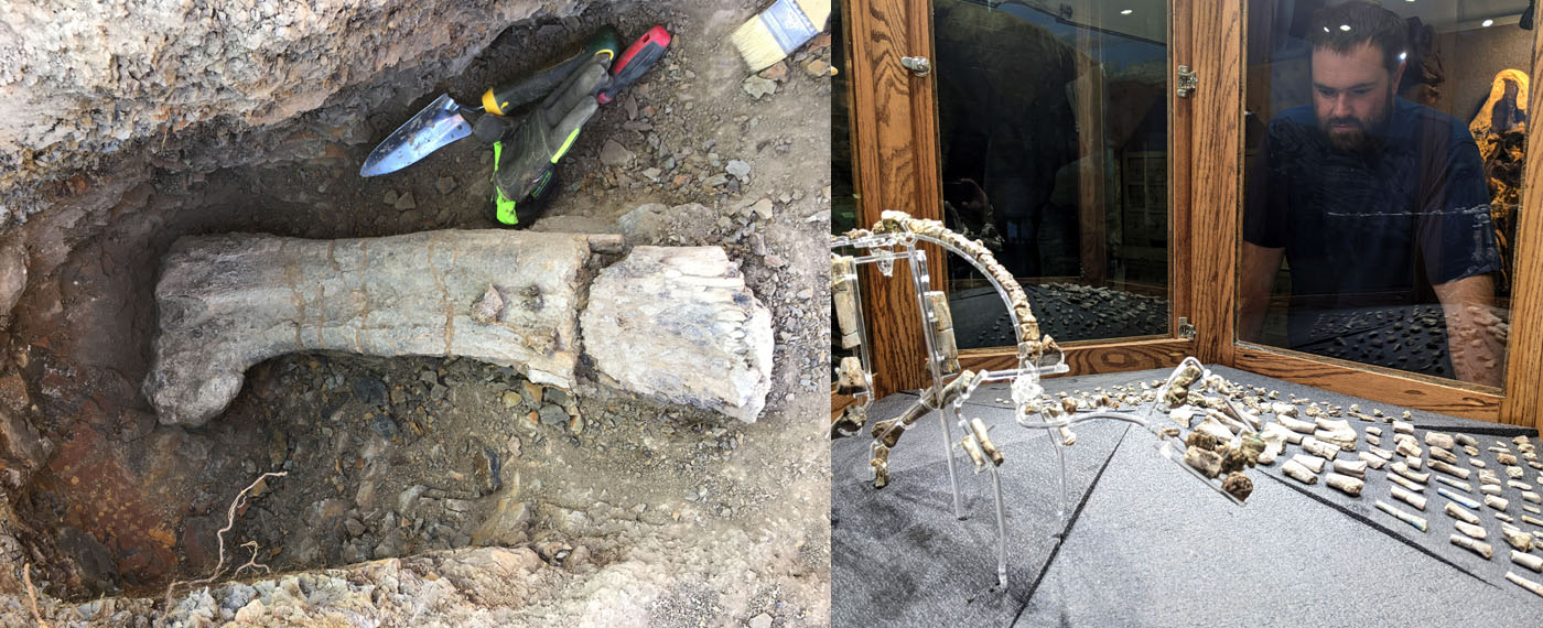 Adventure: More than Bones | Mountain Outlaw Magazine